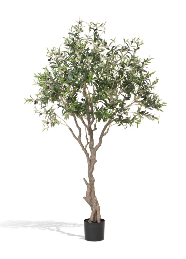 Faux Olive Tree with Weighted Black Pot, 78" – THE PASTA MARKET
